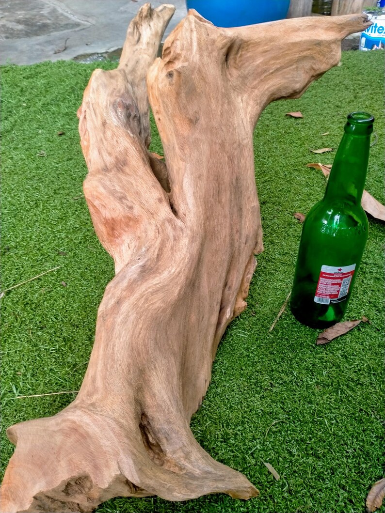 DIY Teakwood Root Perfect for Wooden Lamp Project, Rustic Wooden ...