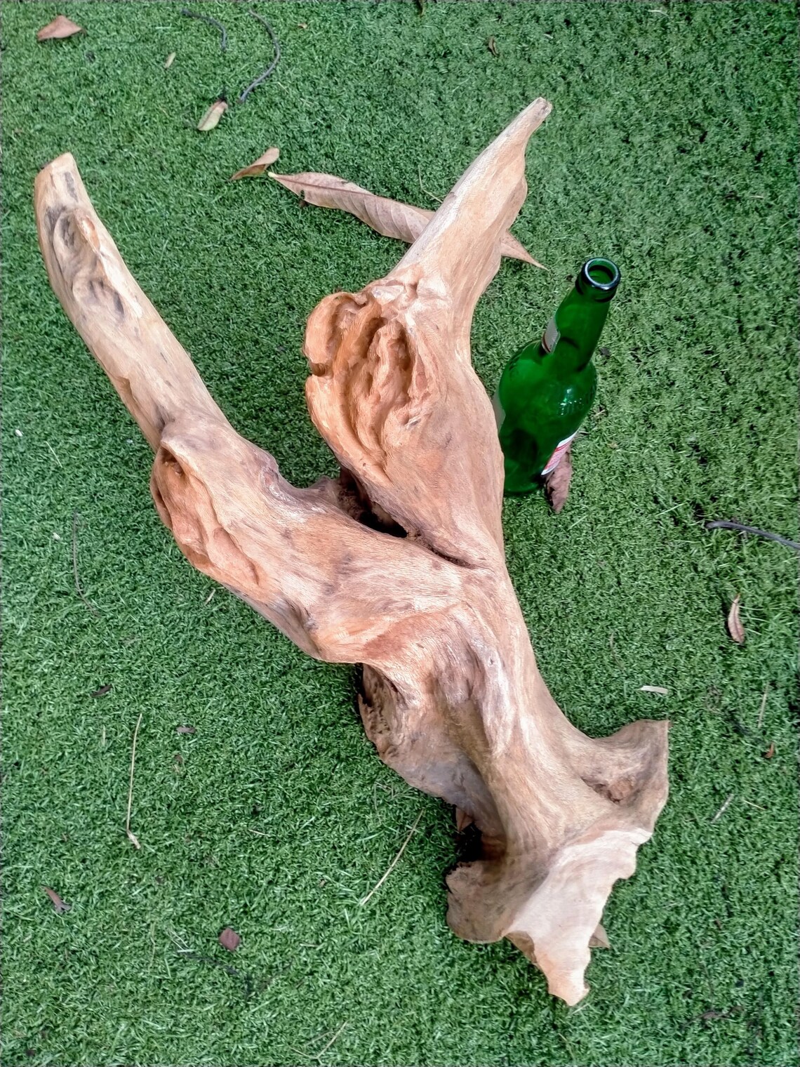 DIY Teakwood Root Perfect for Wooden Lamp Project, Rustic Wooden ...