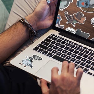 Funny Pigeon Meme Stickers Set– Waterproof and Universal, Laptop ...