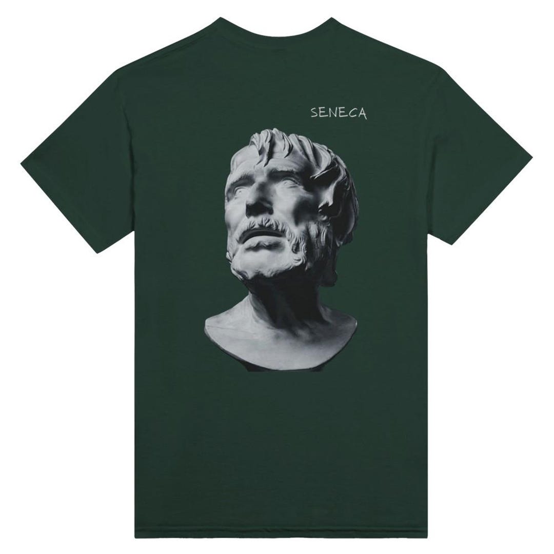Stoic: Seneca Quotes We Suffer More Often in Imagination Than in ...