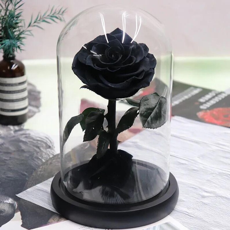 Preserved Rose With LED Ambiance - Etsy