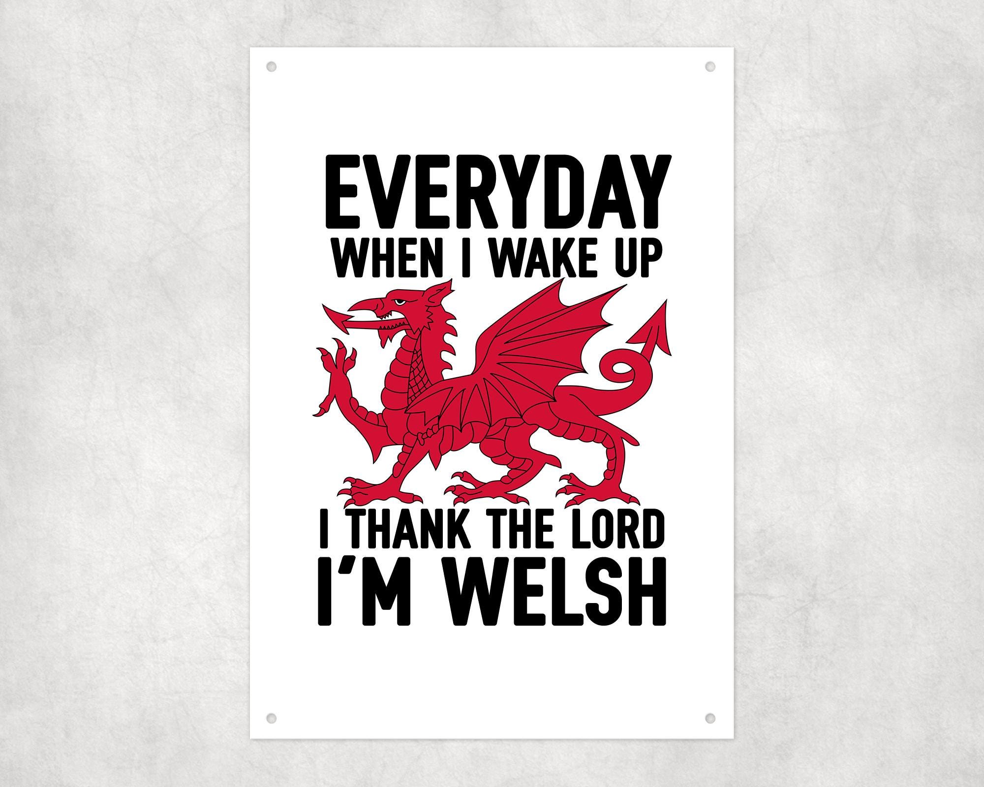 Welsh Pride Metal Sign: Thank the Lord I'm Welsh, Souvenir Gift - Etsy