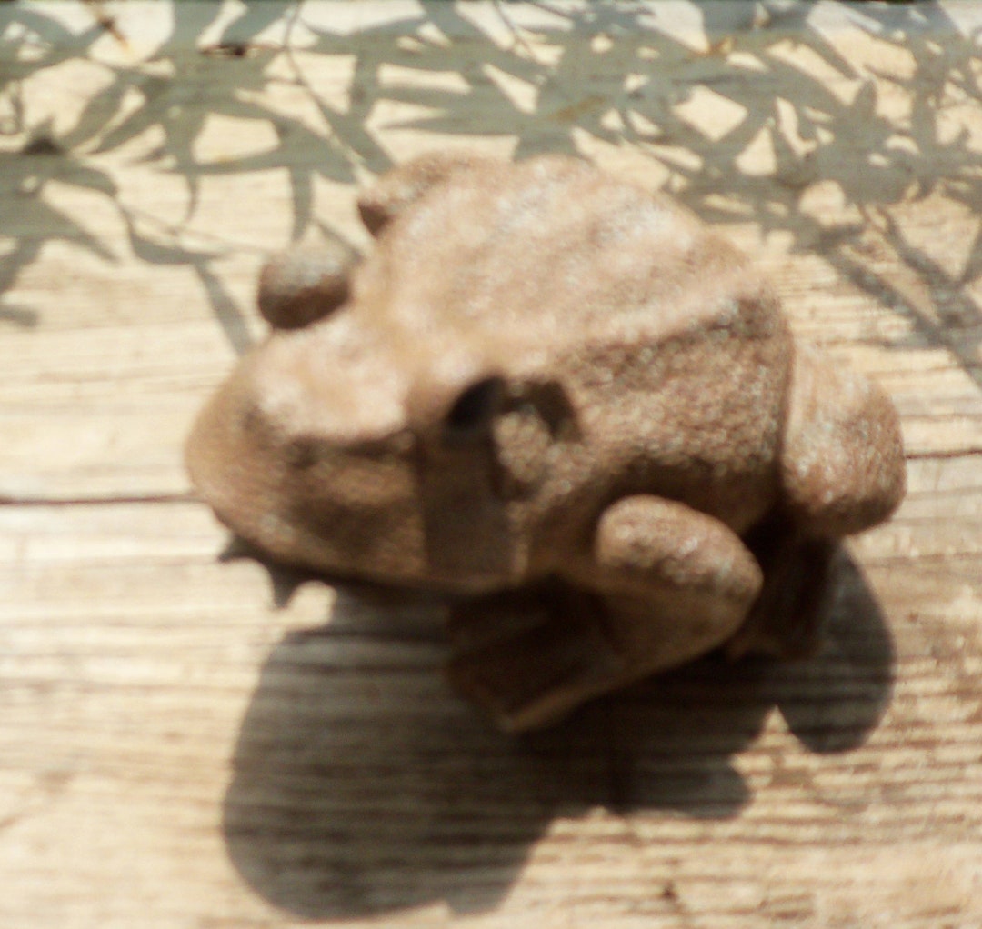 LATEX Only SMALL FROG / Toad Mold for Concrete / Cement / Plaster - Etsy