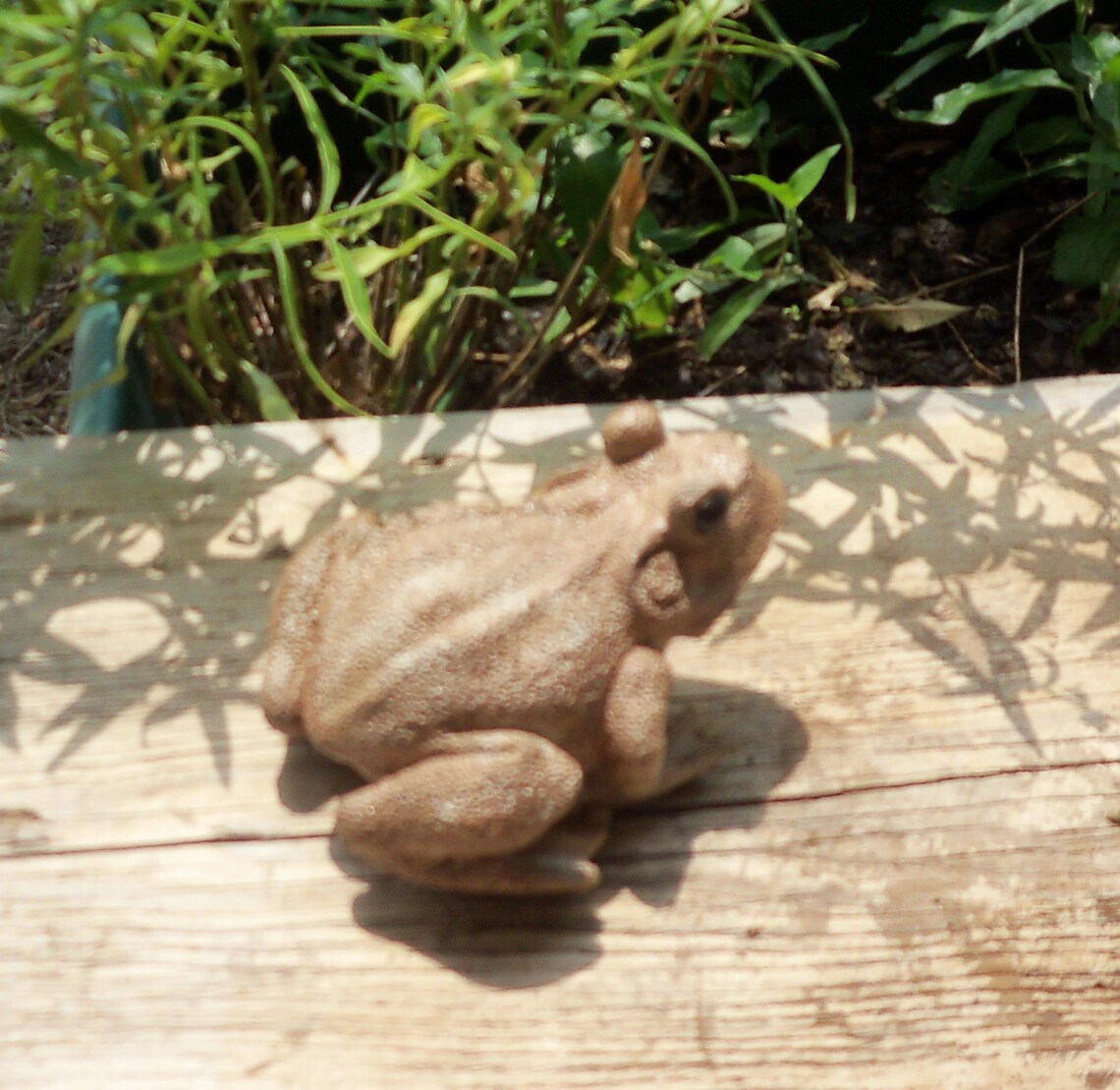 LATEX Only SMALL FROG / Toad Mold for Concrete / Cement / - Etsy