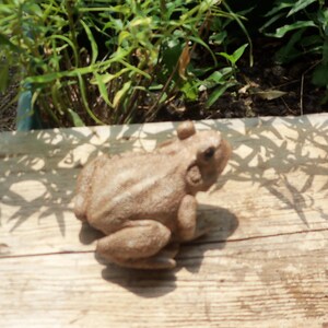 LATEX Only SMALL FROG / Toad Mold for Concrete / Cement / Plaster - Etsy
