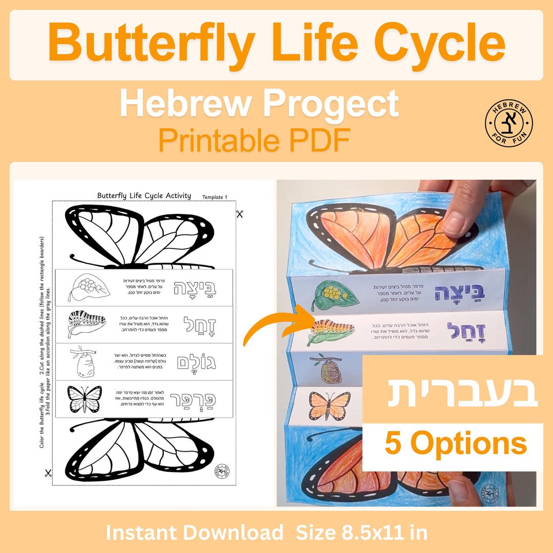 Hebrew Project Butterfly Life Cycle | Printable Hebrew Language ...