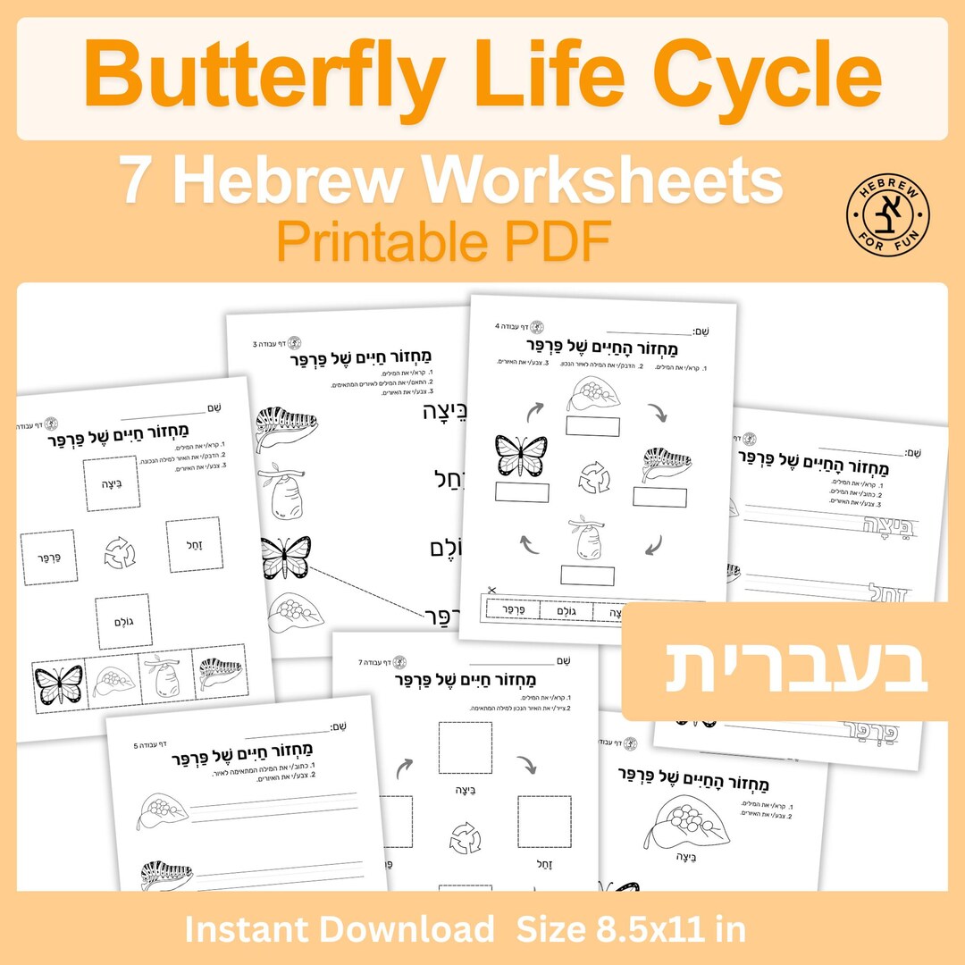 Butterfly Life Cycle Hebrew Worksheets | 7 Printable Activities in ...