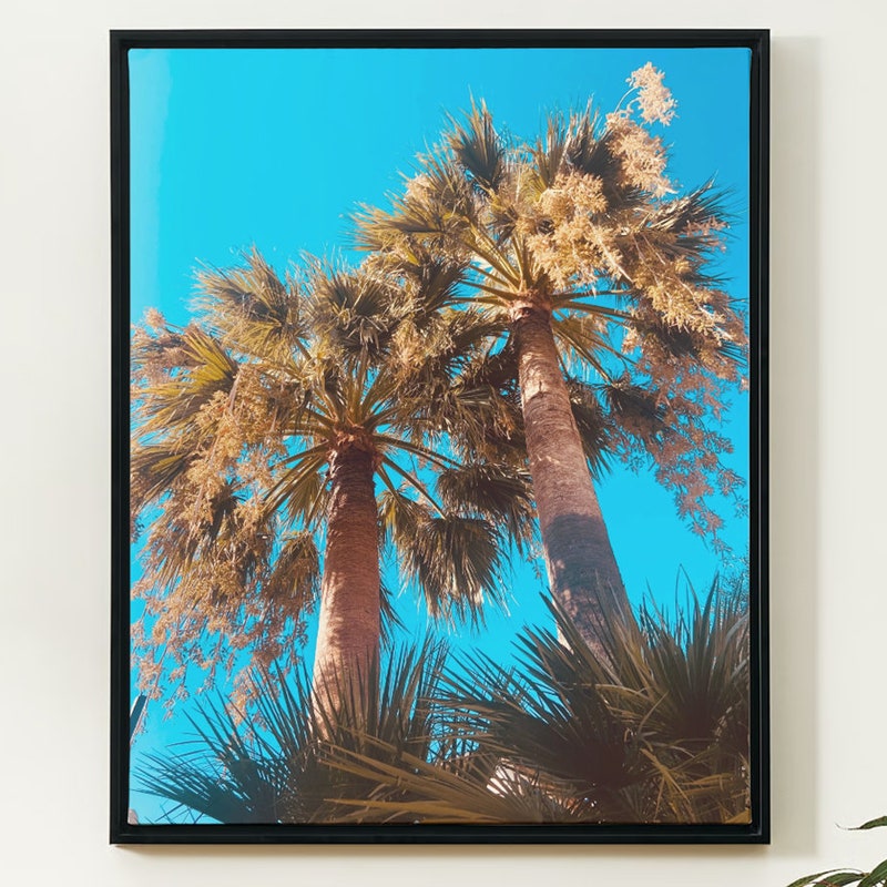 Palmtree - Etsy