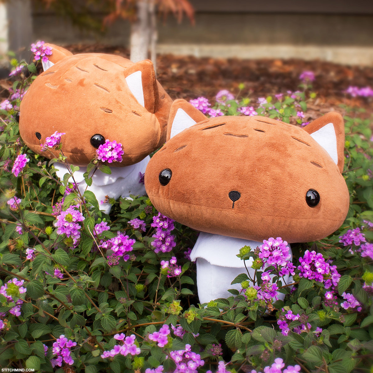 Purrtobello, Large Mewshroom Cute Cat Mushroom Plush Toy Doll, Mushroom Plush, Kawaii Plush ...