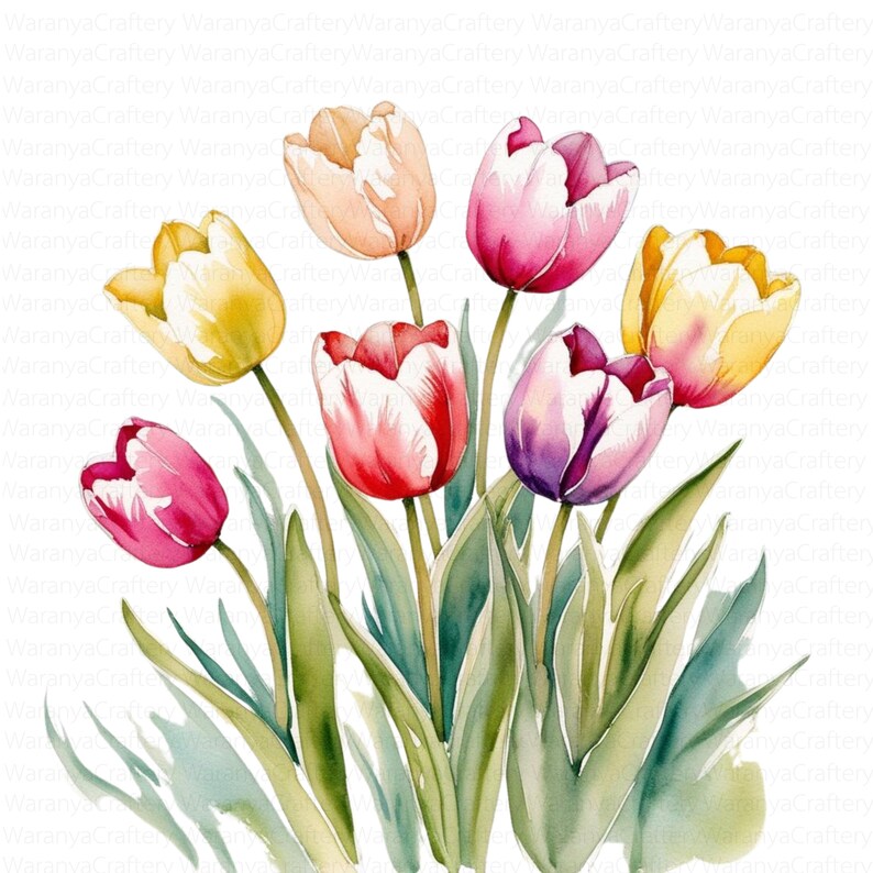 Watercolor Tulip Clipart Bundle | Spring Floral PNG | Digital Download ...