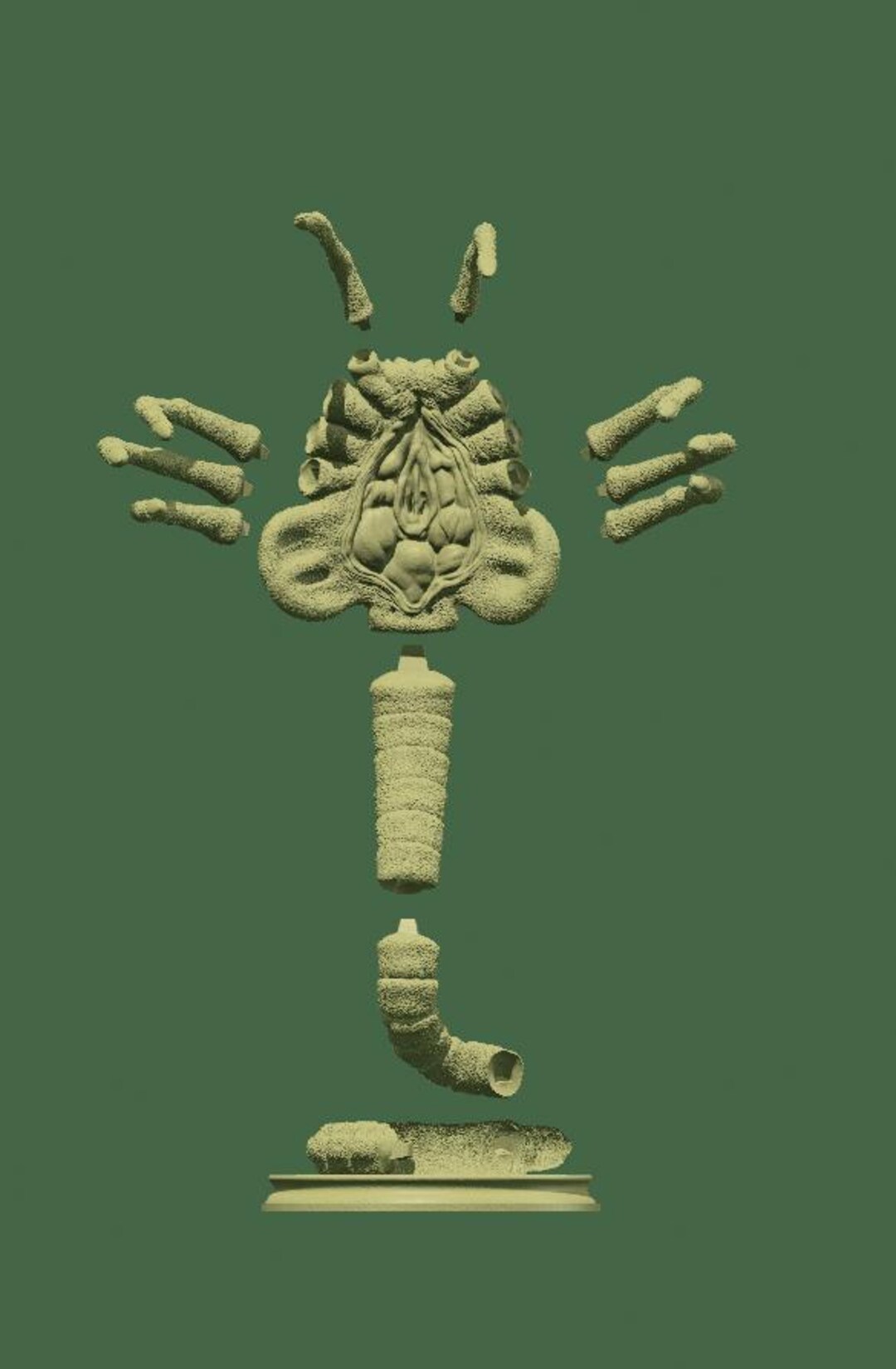 Face Hugger Alien Stl File - Etsy