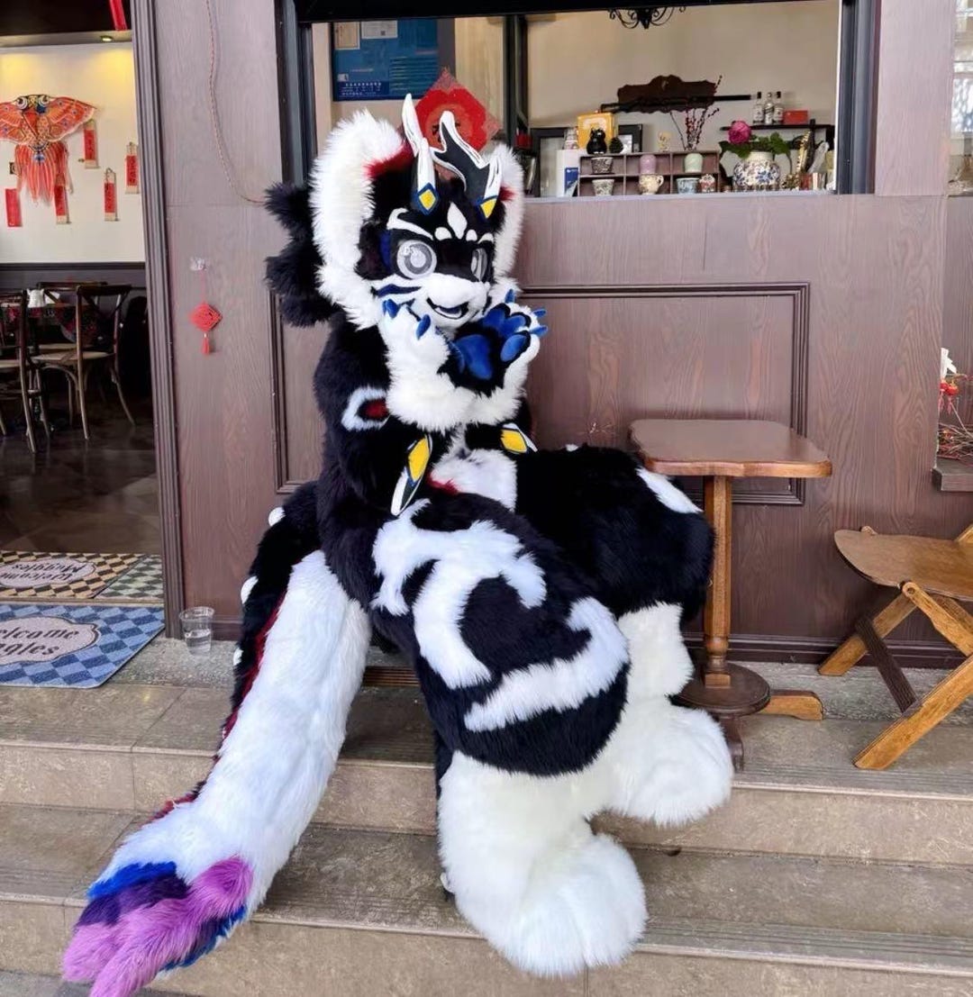 SOLD OUT! Dargon Custom Fursuit Commission OPEN! Furry Full Suit ...