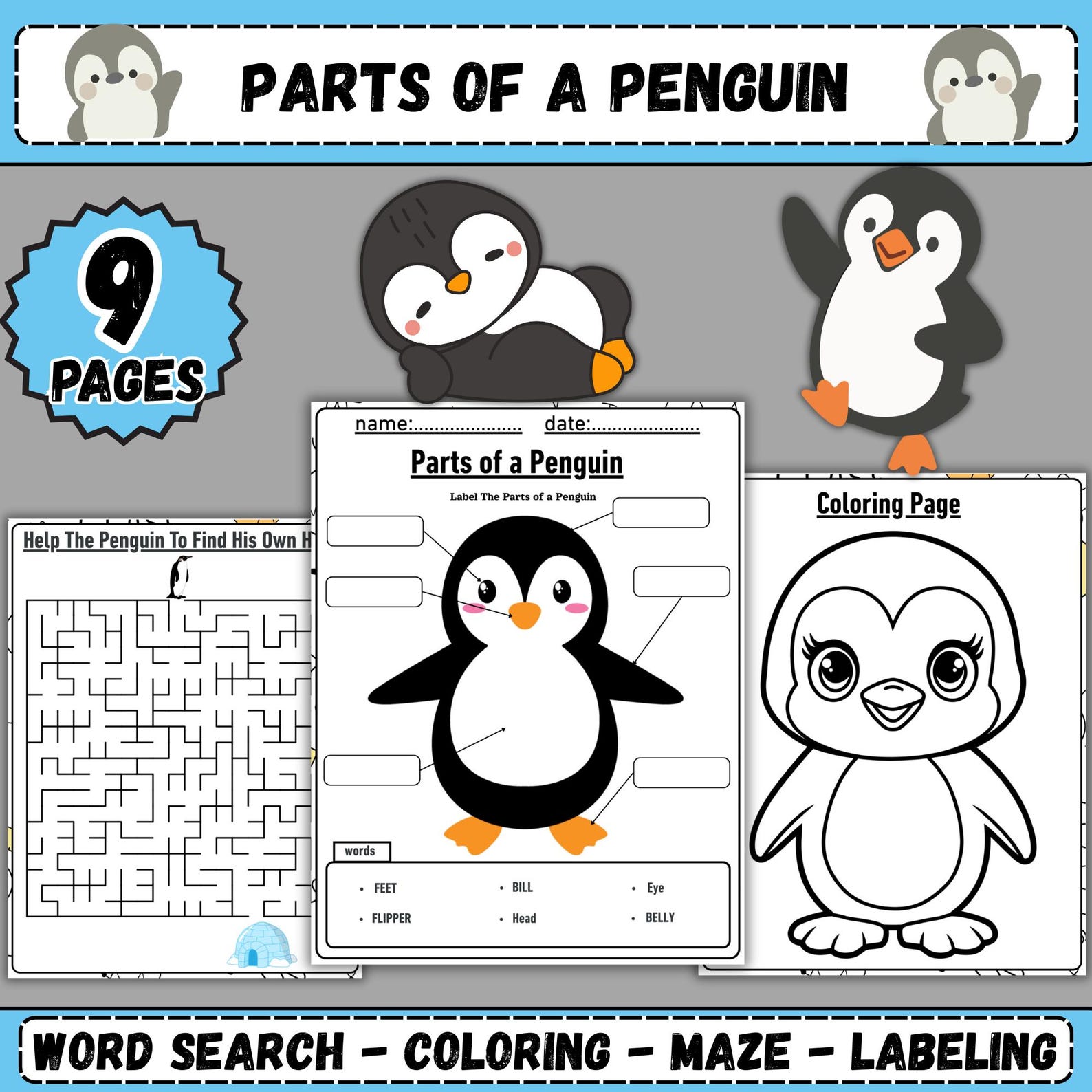 Parts of a Penguin Worksheet | Labeling Activity | Arctic Animals ...