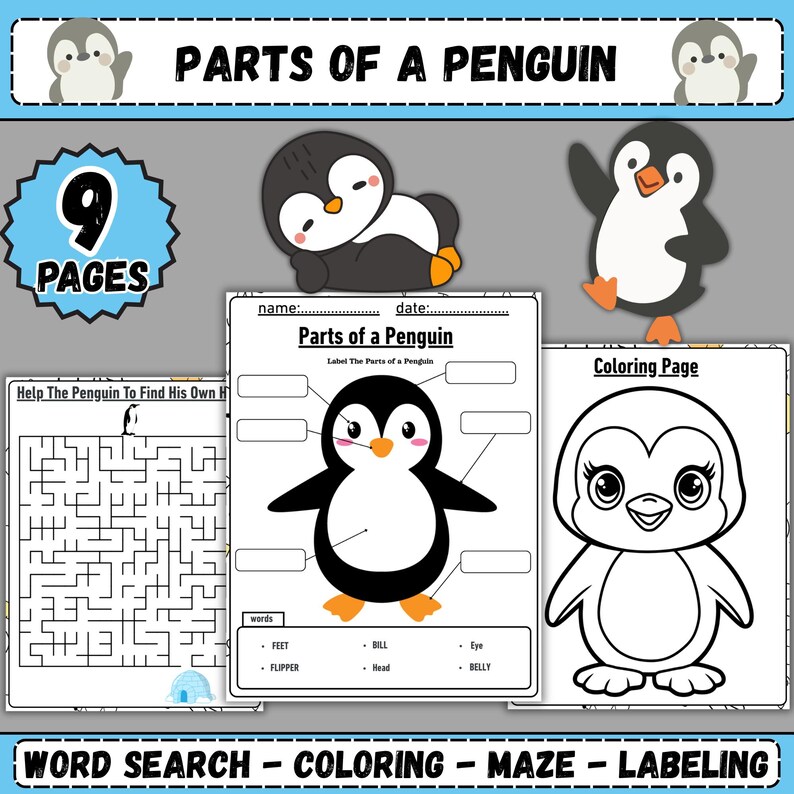 Parts of a Penguin Worksheet | Labeling Activity | Arctic Animals ...