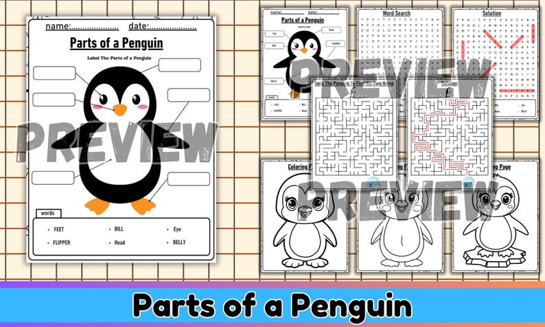Parts of a Penguin Worksheet | Labeling Activity | Arctic Animals ...