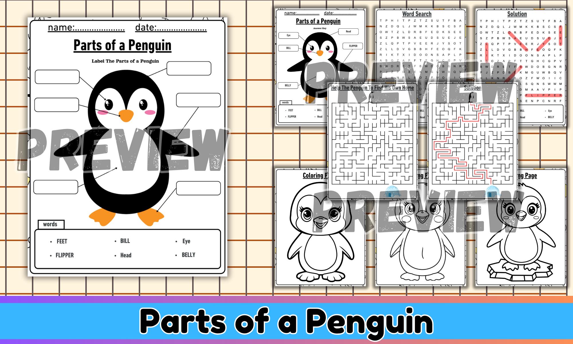 Parts of a Penguin Worksheet | Labeling Activity | Arctic Animals ...