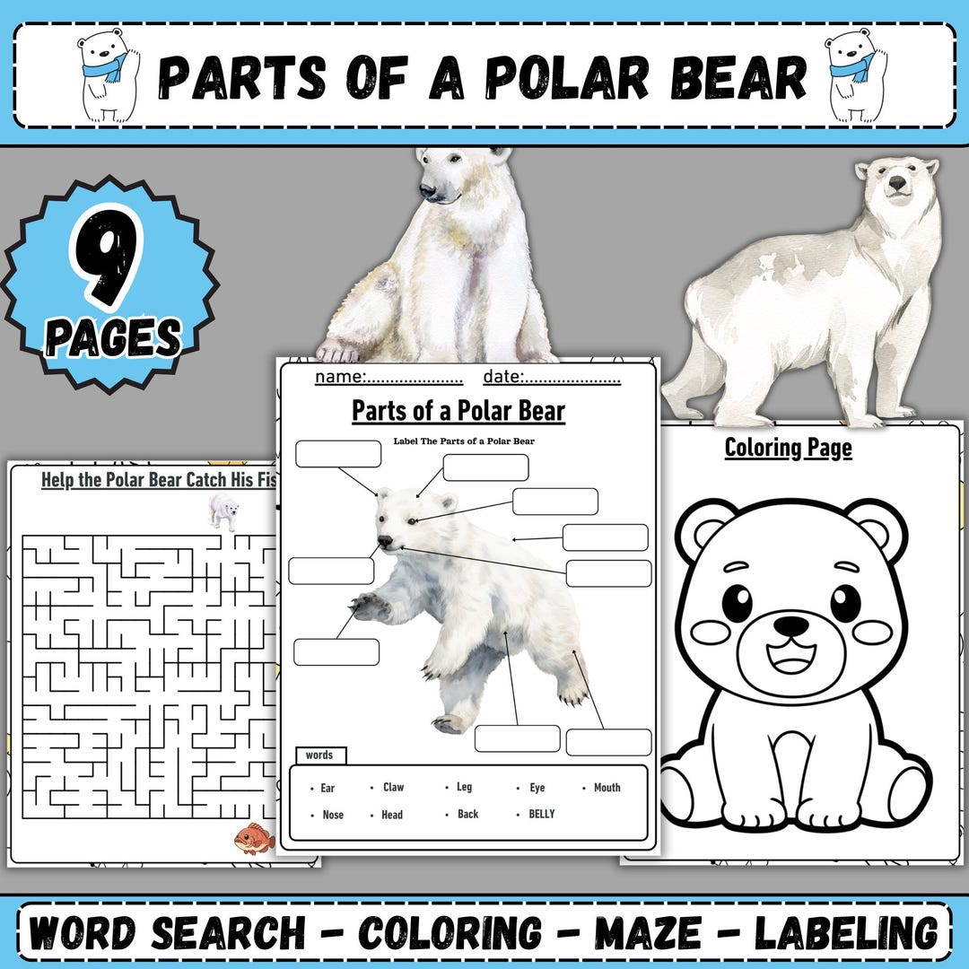 Parts of a Polar Bear | Labeling Worksheet | Arctic Animals Science ...