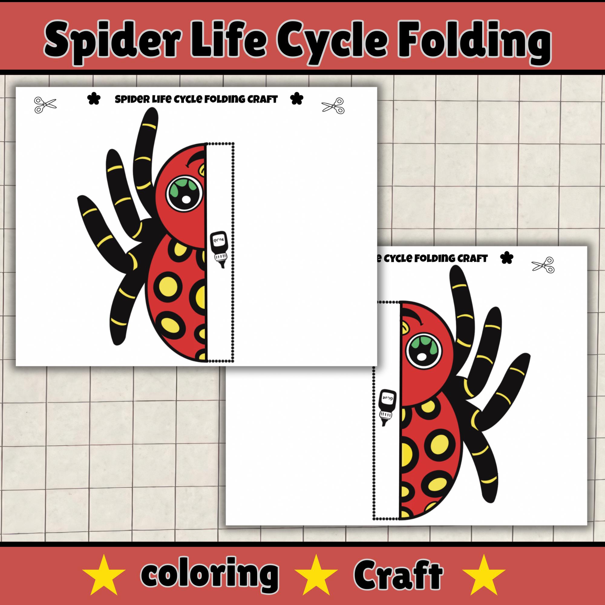 Spider Life Cycle Folding Craft: Cut & Paste Science (digital) - Etsy