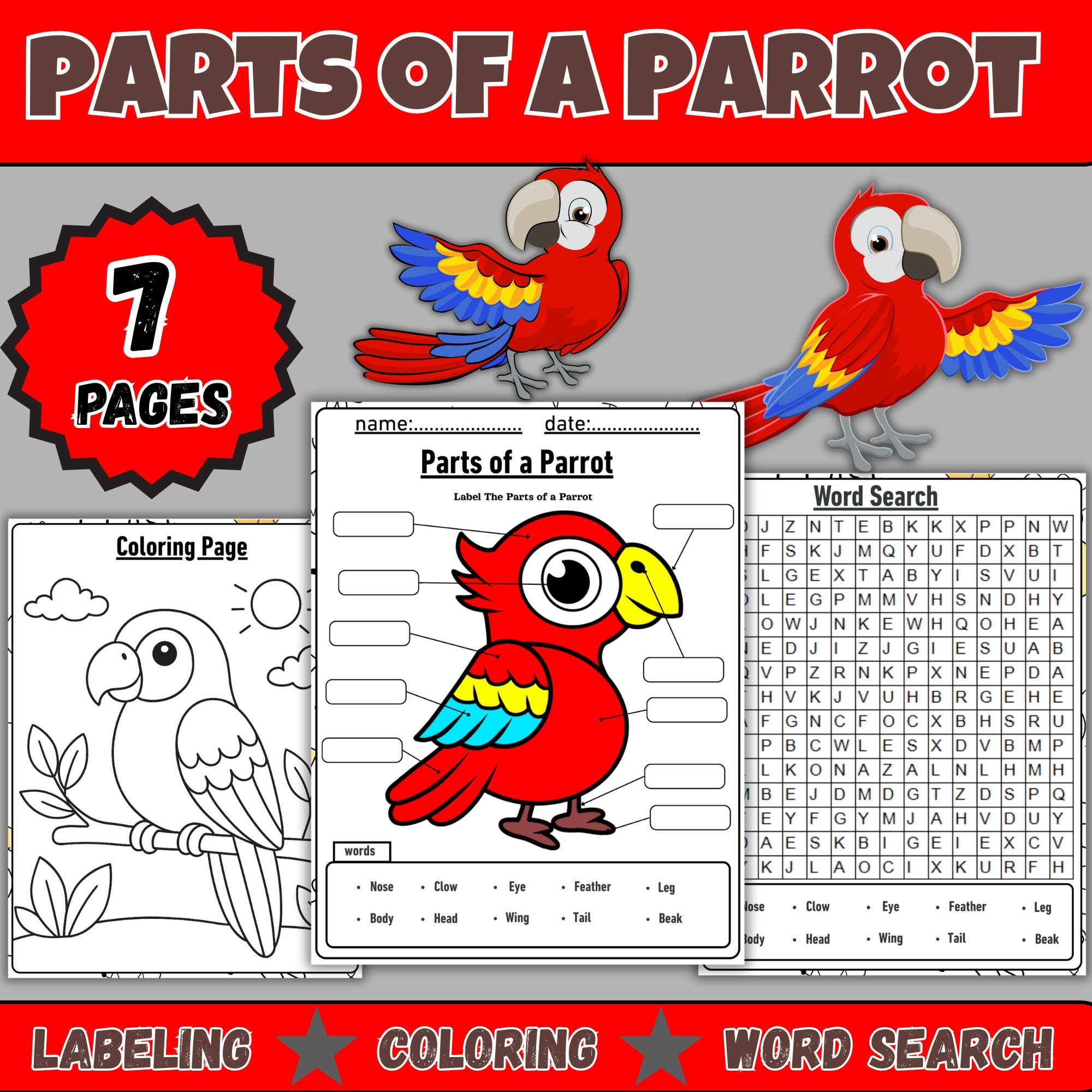 Parrot Anatomy Worksheet | Label & Color Science Activity (PDF ...