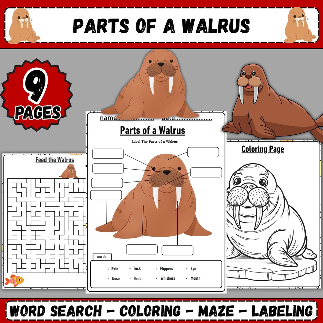 Parts of a Walrus | Labeling Worksheet | Arctic Animals Science ...