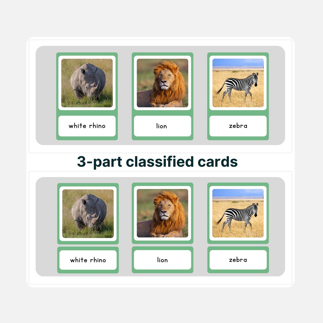 The Montessori 3-part Classified Cards: Wildlife of Africa. PDF Only ...
