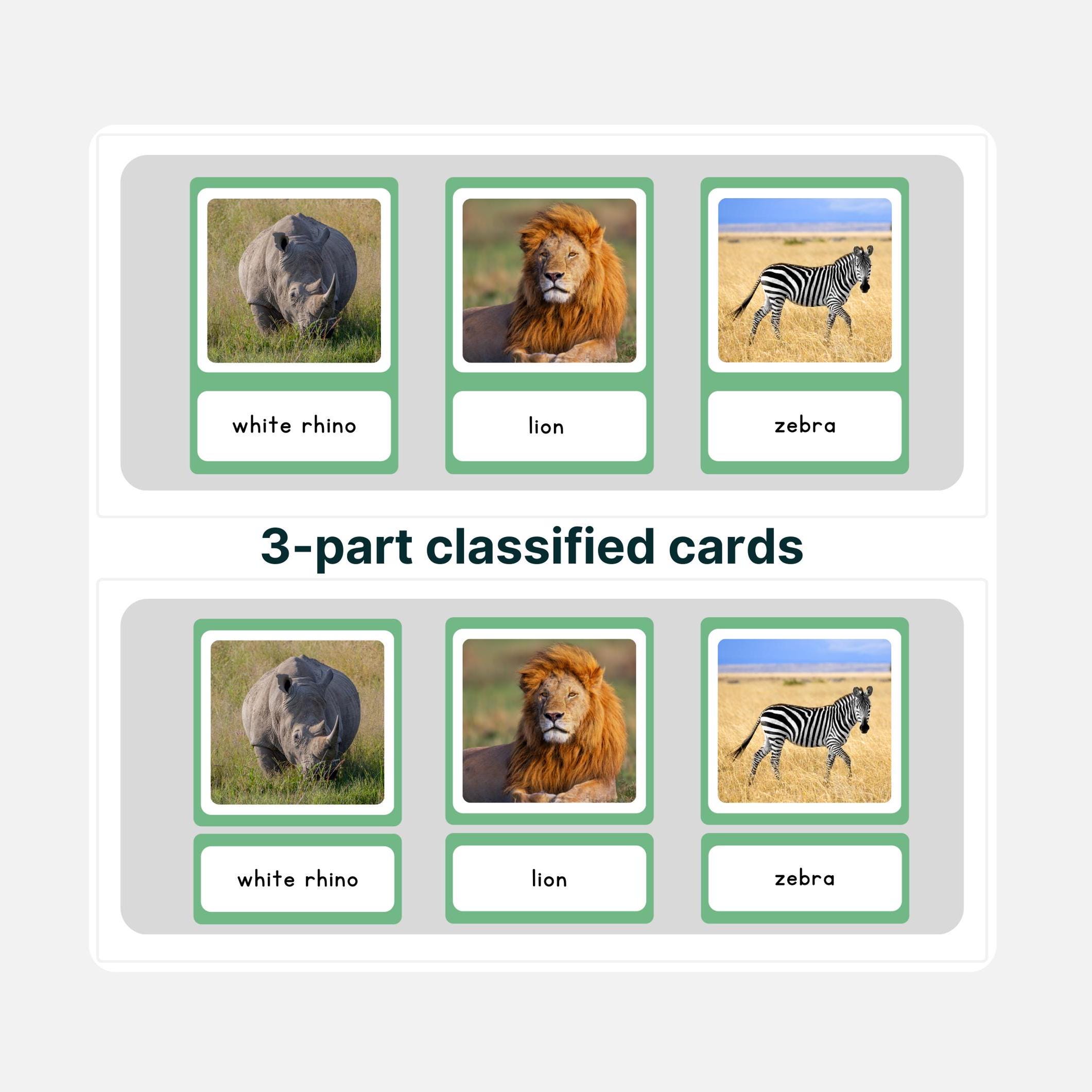 The Montessori 3-part Classified Cards: Wildlife of Africa. PDF Only ...