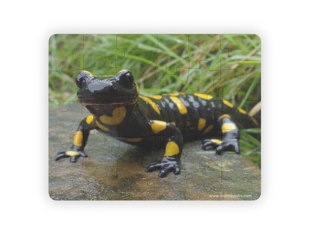 Salamander Kids' Puzzle, 30-piece - Etsy