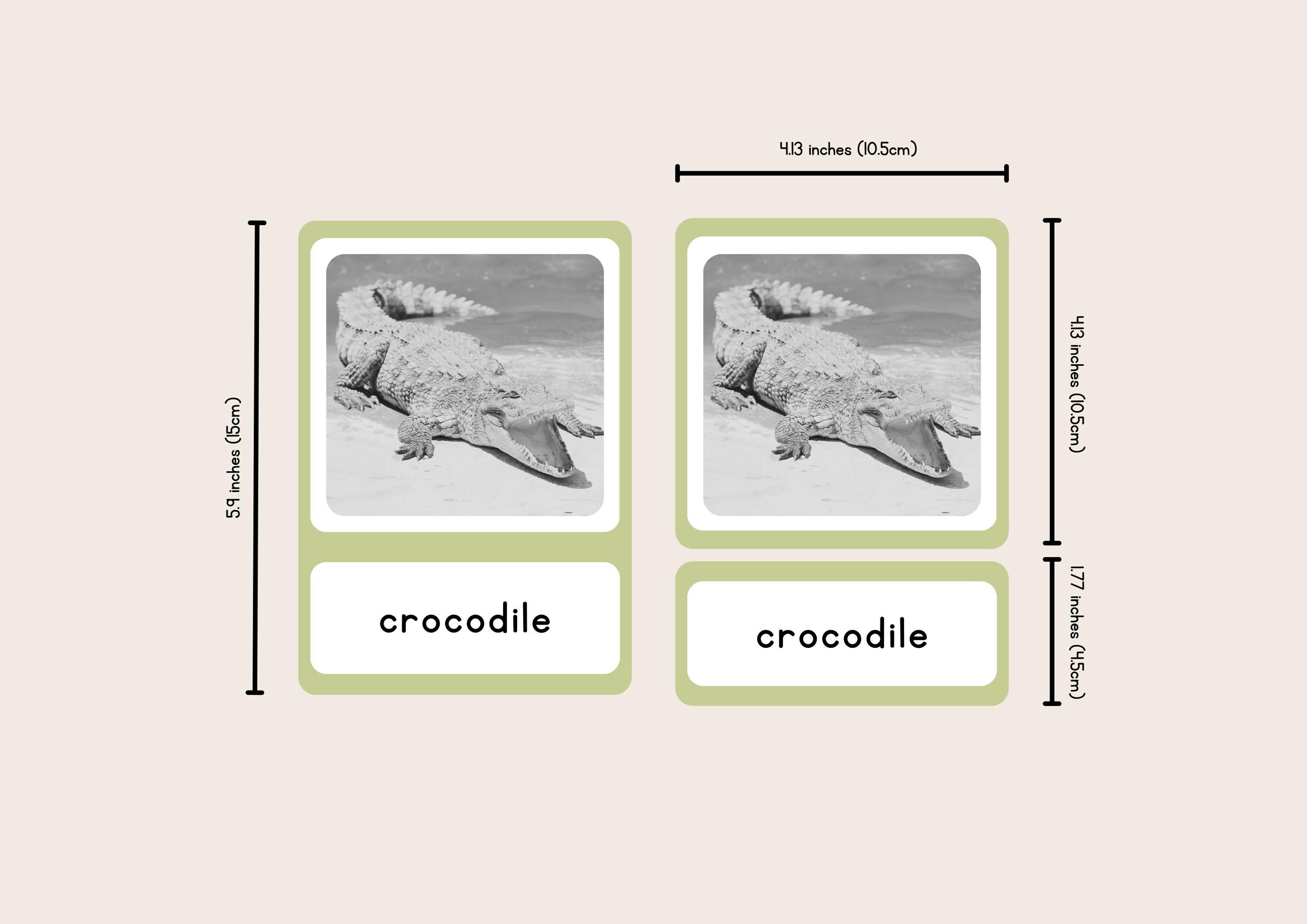The Montessori 3-part Classified Cards: Reptiles. This PDF is a Zoology ...