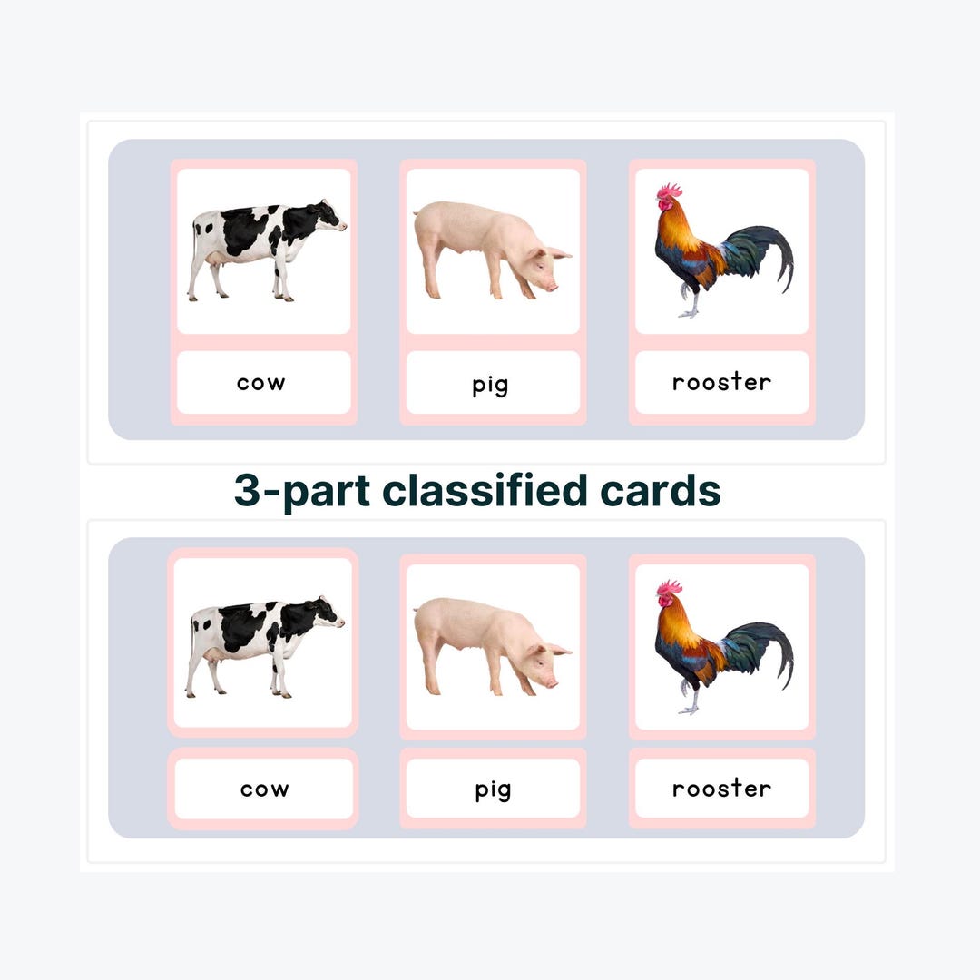 Montessori Farm Animals 3-part Cards: Zoology Learning (PDF) - Etsy