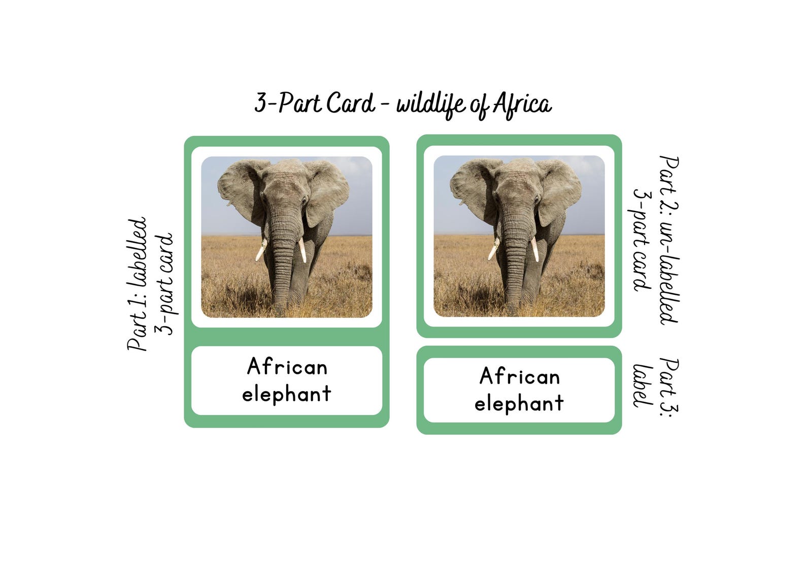 The Montessori 3-part Classified Cards: Wildlife of Africa. PDF Only ...