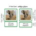 The Montessori 3-part Classified Cards: Wildlife of Africa. PDF Only ...