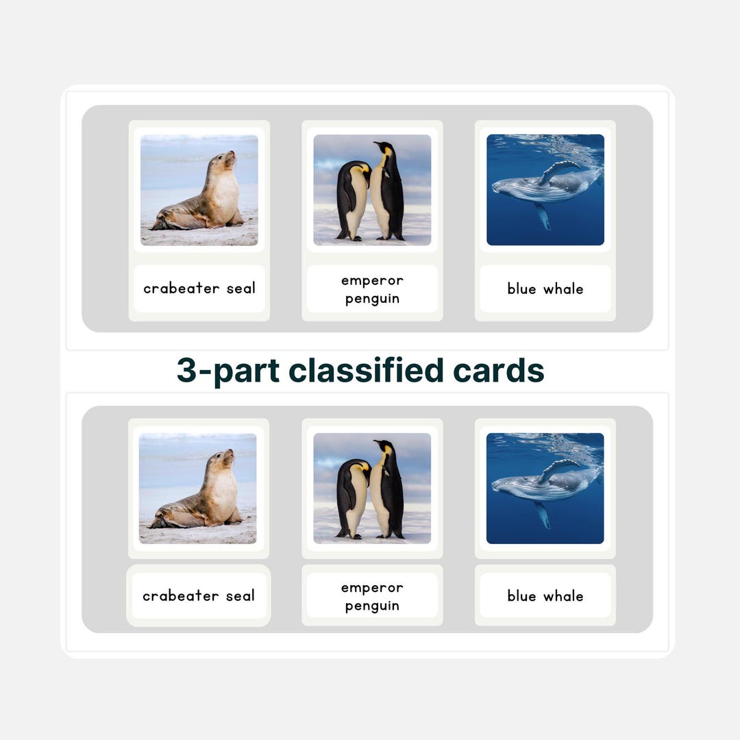 The Montessori 3-part Classified Cards: Wildlife of Antarctica. PDF ...