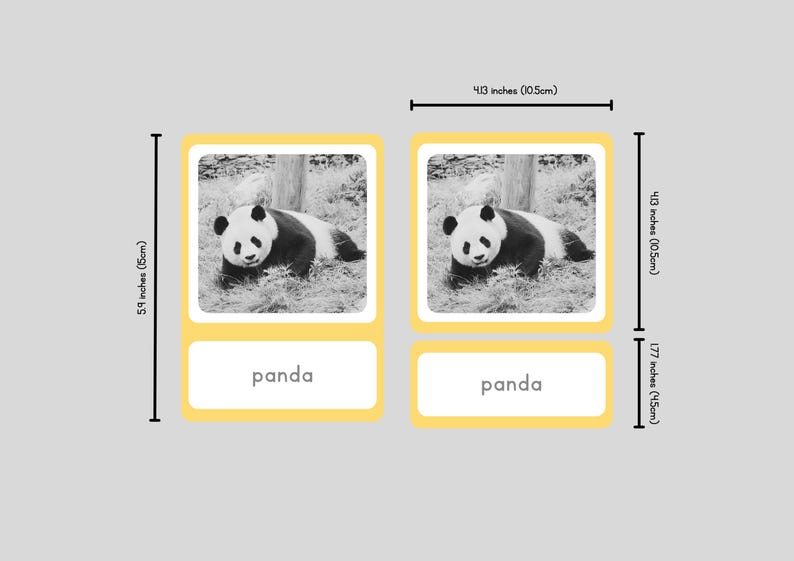 Montessori Asia Wildlife Cards: 3-part Learning Material (PDF) - Etsy