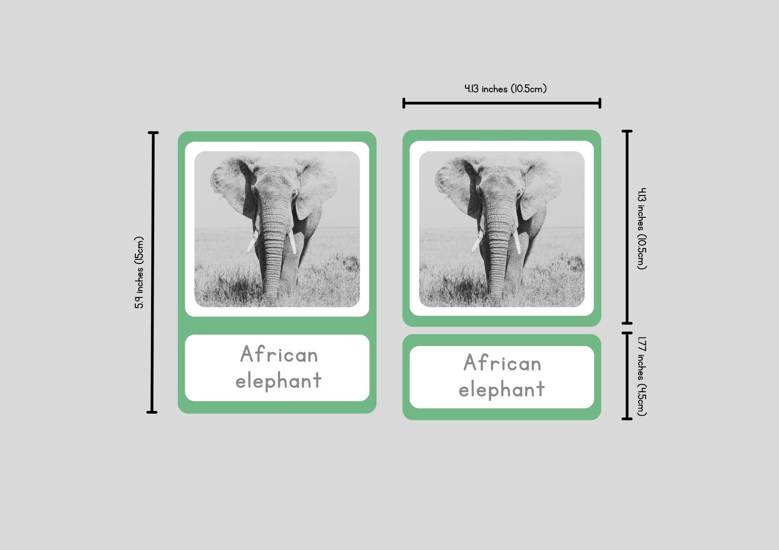 The Montessori 3-part Classified Cards: Wildlife of Africa. PDF Only ...