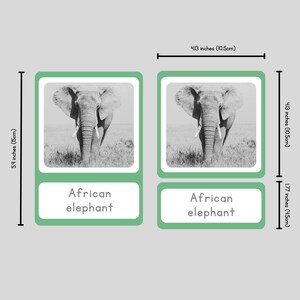 The Montessori 3-part Classified Cards: Wildlife of Africa. PDF Only ...