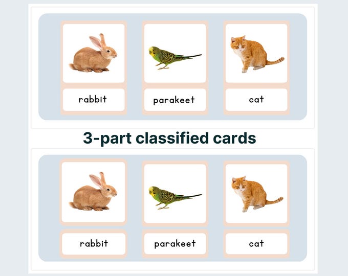 Pets Matching Cards for Safari Toobs - Etsy