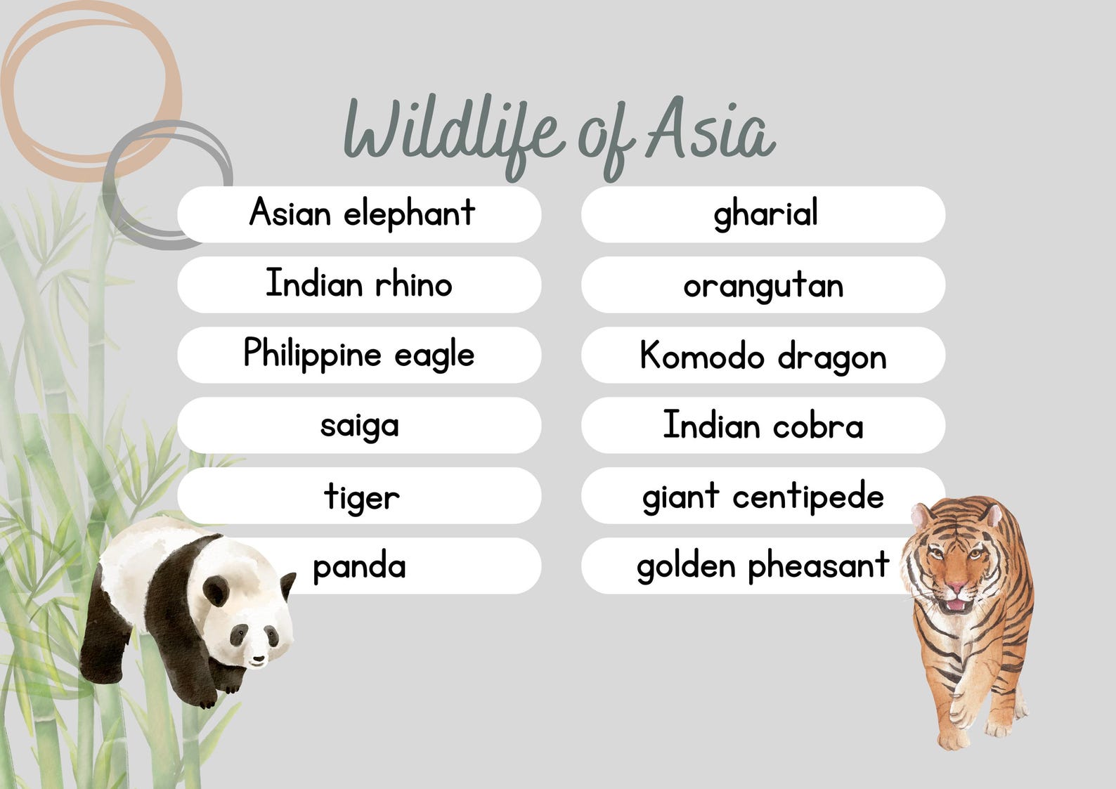 Montessori Asia Wildlife Cards: 3-part Learning Material (PDF) - Etsy
