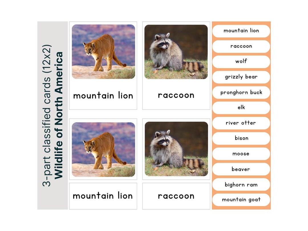Montessori Animal Cards: 84 Animals, Seven Continents (PDF) - Etsy