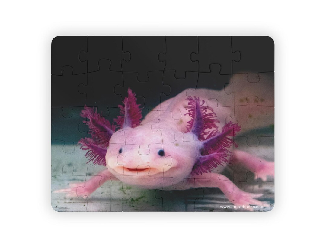Axolotl Kids' Puzzle, 30-piece - Etsy