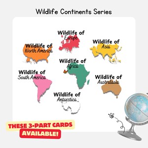 Montessori Africa Wildlife 3-part Cards: Cultural Learning (PDF) - Etsy