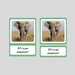 The Montessori 3-part Classified Cards: Wildlife of Africa. PDF Only ...