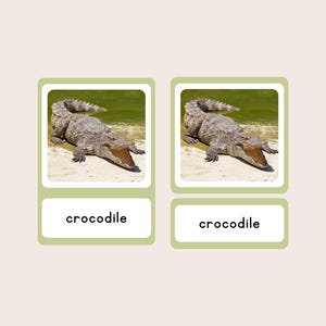 The Montessori 3-part Classified Cards: Reptiles. This PDF is a Zoology ...