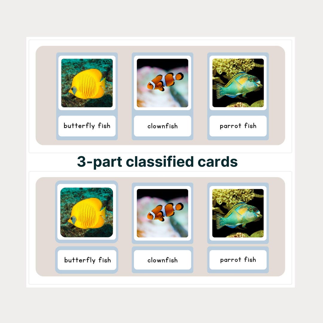 The Montessori 3-part Classified Cards: Tropical Fish. This PDF is a ...