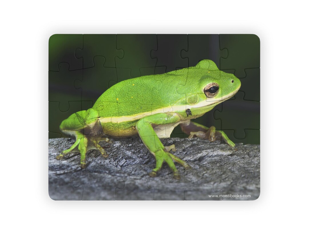 Tree Frog Kids' Puzzle, 30-piece - Etsy