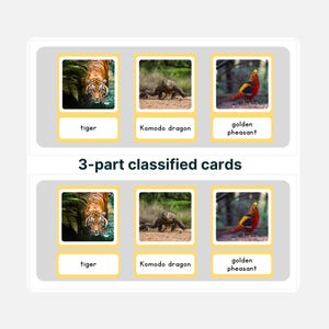 The Montessori 3-part Classified Cards: Wildlife of Asia. PDF Only ...