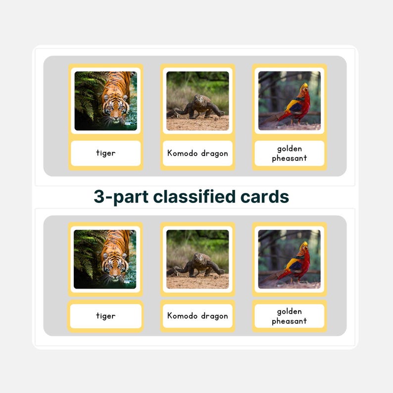 The Montessori 3-part Classified Cards: Wildlife of Asia. PDF Only ...