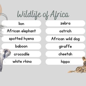 The Montessori 3-part Classified Cards: Wildlife of Africa. PDF Only ...