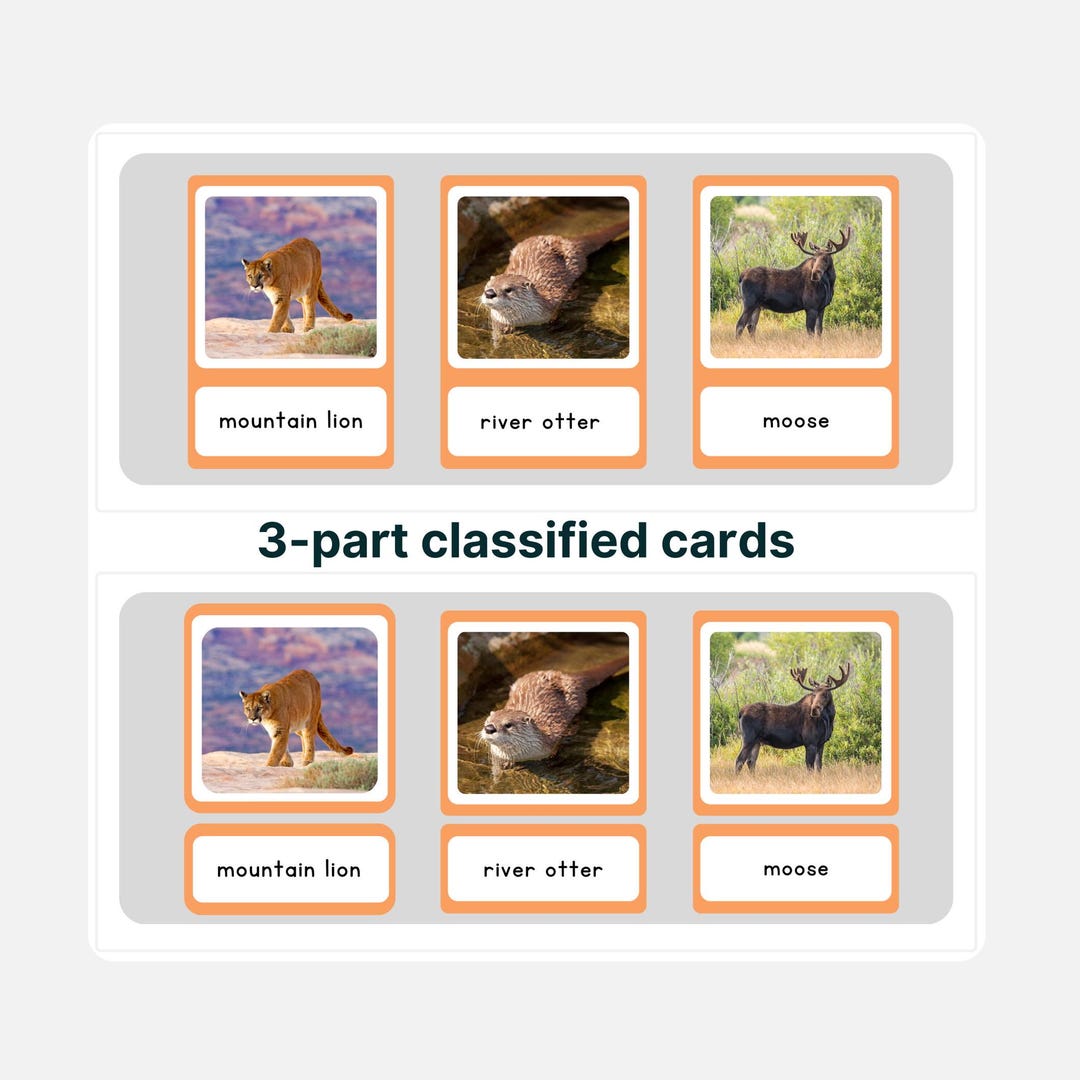 The Montessori 3-part Classified Cards: Wildlife of North America. PDF ...