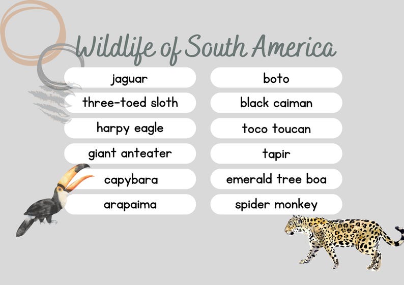 Montessori Wildlife Cards: South America Animals (PDF) - Etsy