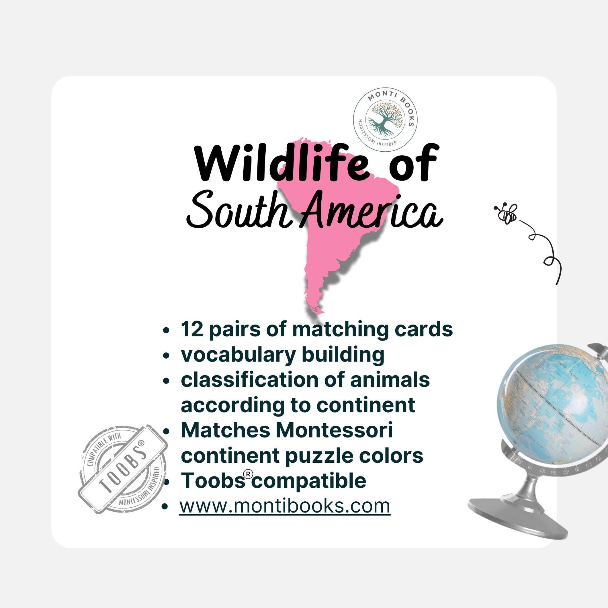 Montessori Wildlife Cards: South America Animals (PDF) - Etsy